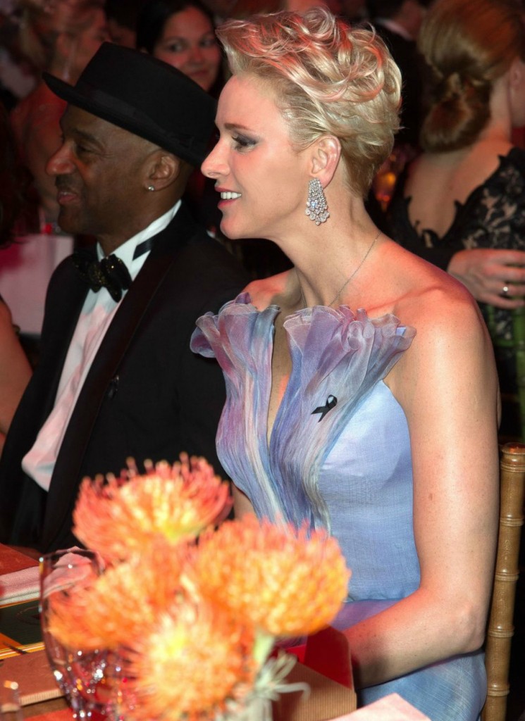 Prince Albert and Princess Charlene attend the 68th annual Red Cross ...