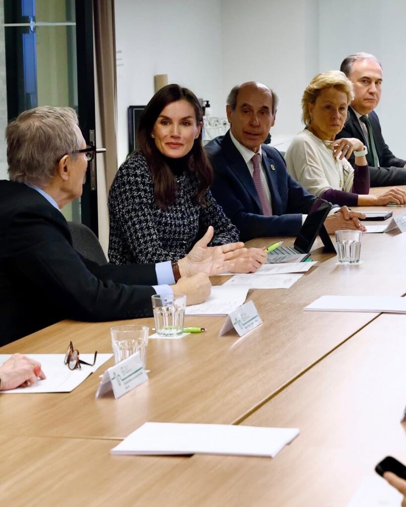 Queen Letizia attended a meeting of the Spanish Association Against ...