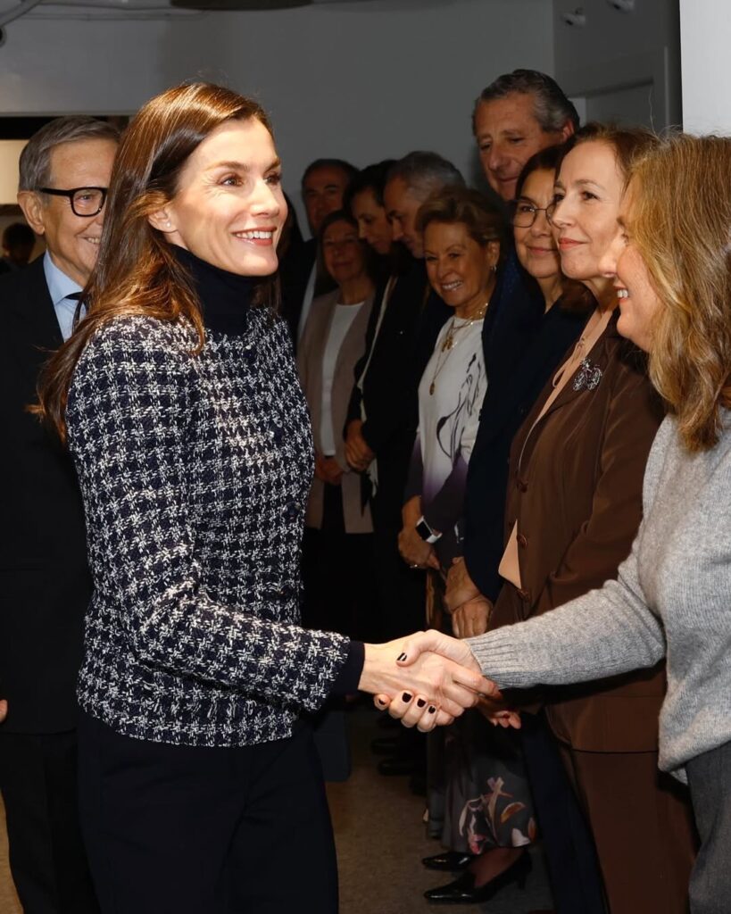Queen Letizia attended a meeting of the Spanish Association Against ...